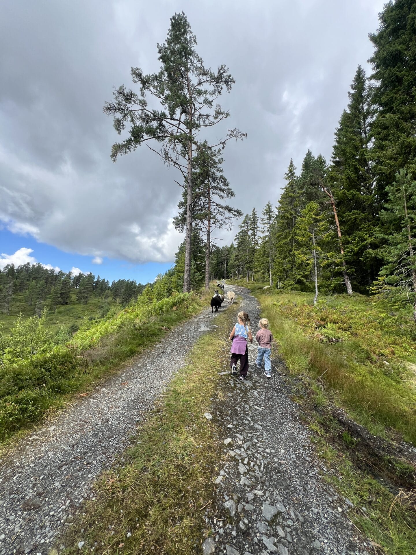 Kanskje er det ikke kroppen som er sliten, men hodet: 6 måter naturen ...